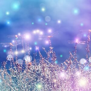 Angel Signs: Divine Messages Through Dragonflies – Celestial Inspiration